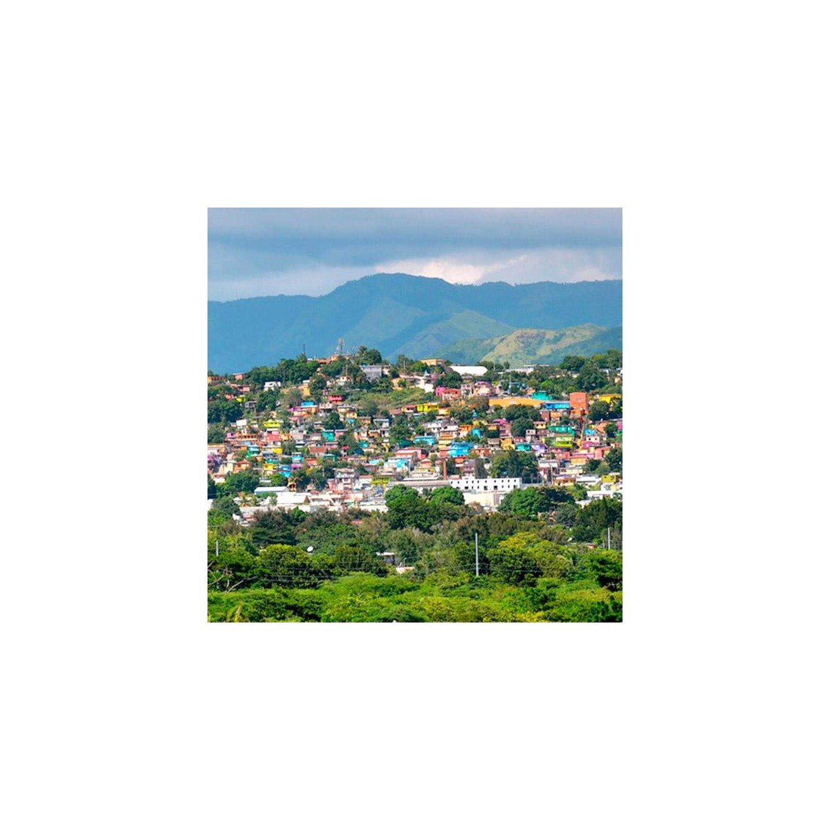 Puerto Rico Yauco | La boutique del café